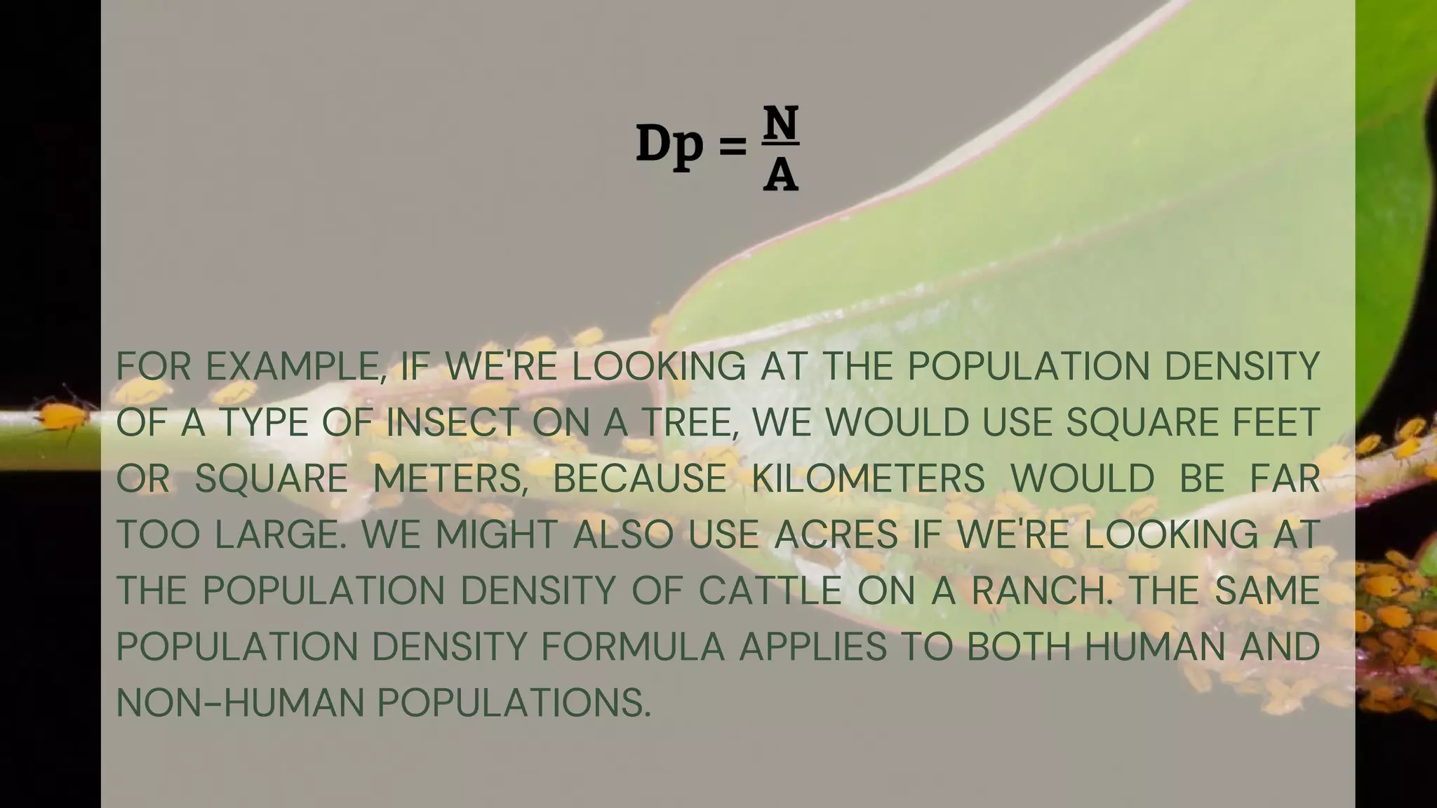 People and Earth's Ecosystem Population Characteristics.pdf