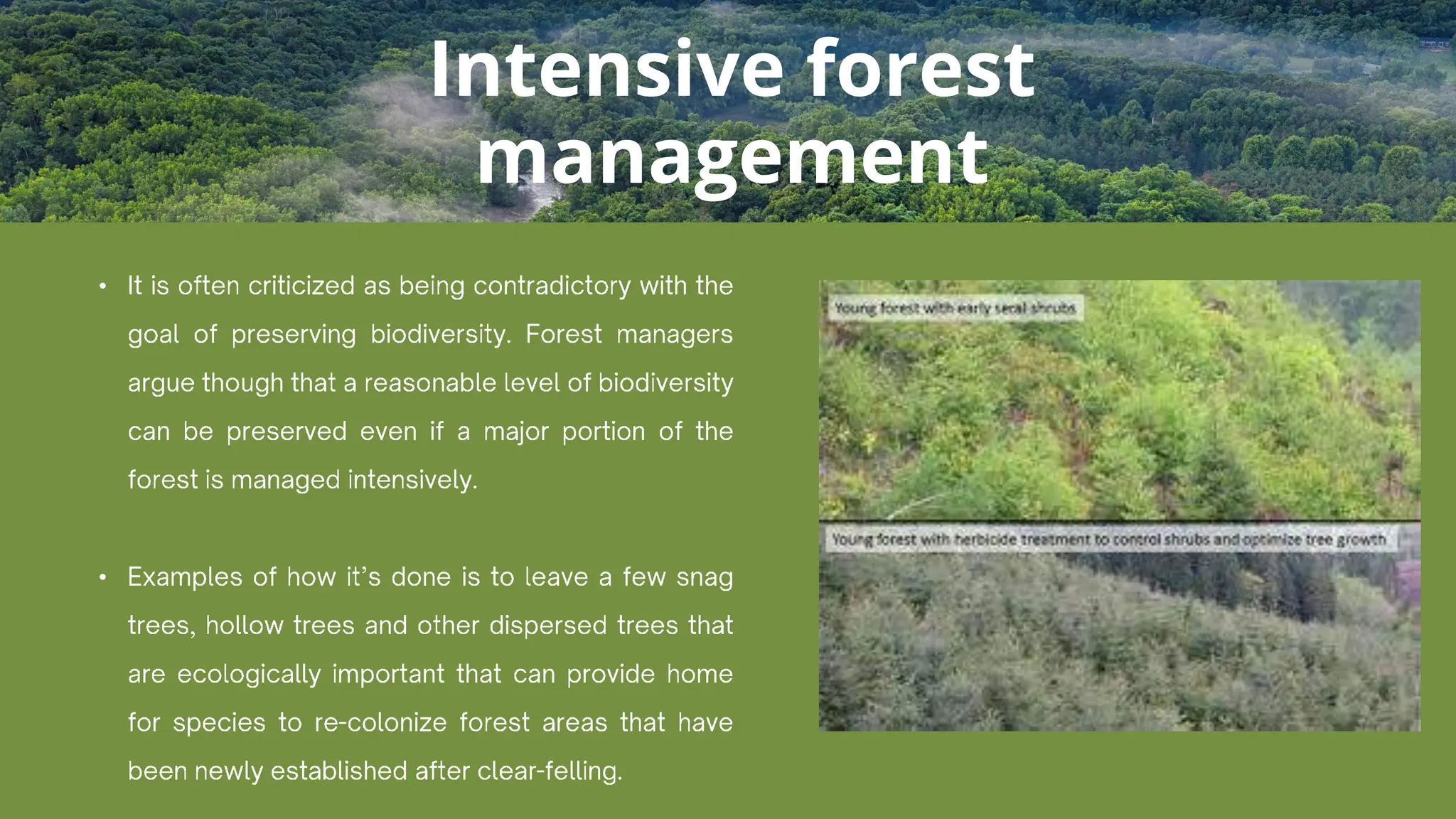 People and Forest- TEmperate fo3 (1).pdf