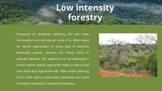 People and Forest- TEmperate fo3 (1).pdf