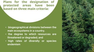 People and Forest- TEmperate fo3 (1).pdf