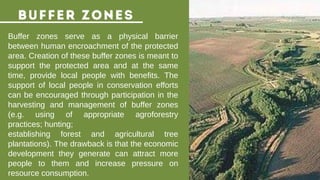 People and Forest- TEmperate fo3 (1).pdf
