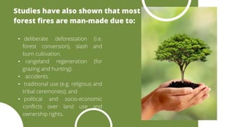 People and Forest- TEmperate fo3 (1).pdf