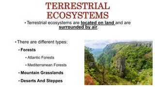 People and the environment | PPTX