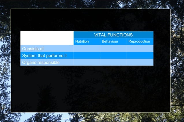 People are living creatures vital functions | PPT