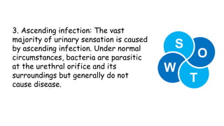 People can Get Urinary Tract Infections Not Just Because of Bacterial ...