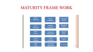 People capability and maturity model levels | PPTX