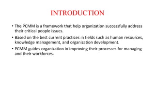 People capability and maturity model levels | PPTX