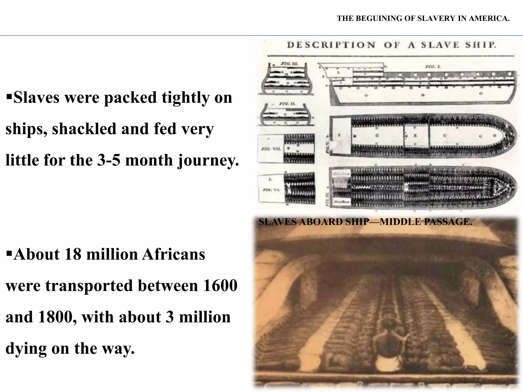 Slavery in America | PPT