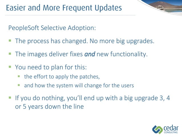 A PeopleSoft Roadmap | PDF