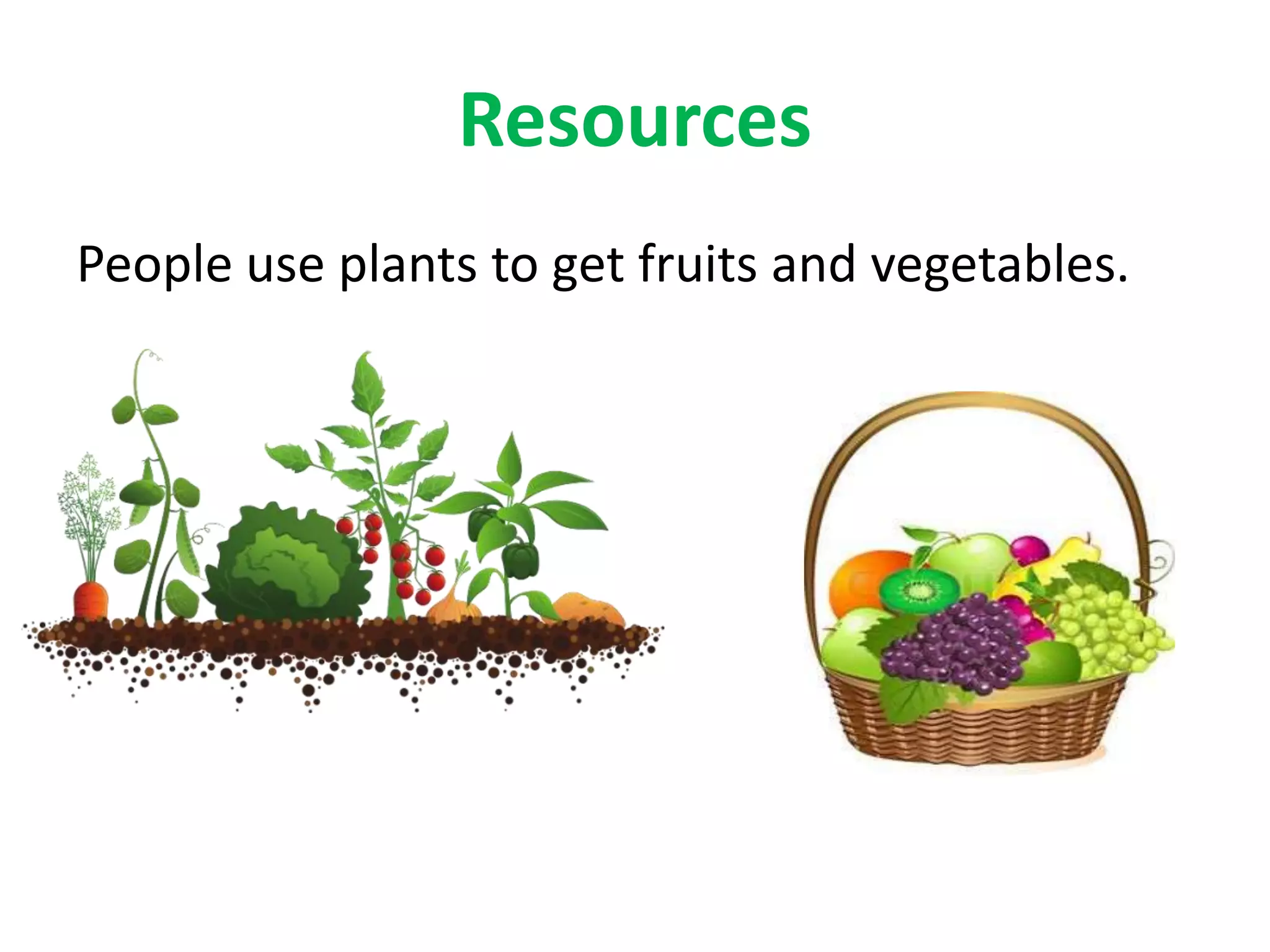 People use resources | PPT