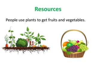 People use resources | PPT