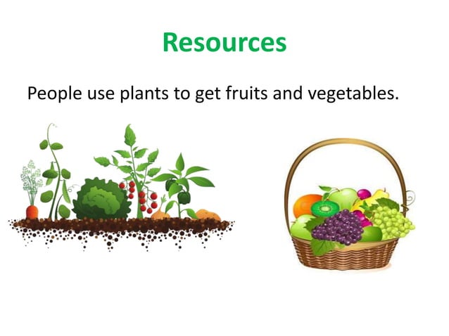 People use resources | PPT