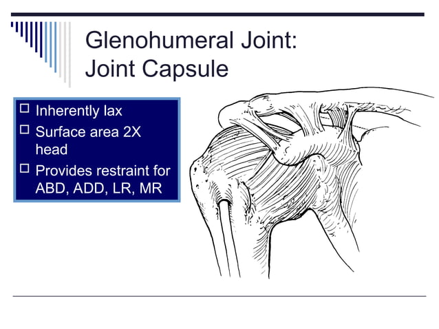 PEP 300 Shoulder Complex assessment and rehab.ppt