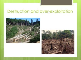 environmental problems protection | PPT