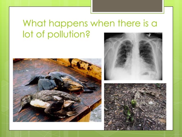 environmental problems protection | PPT