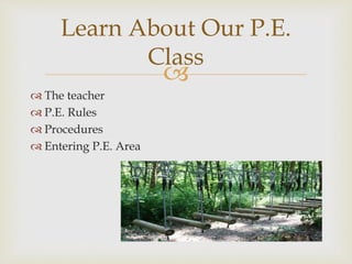 Pe powerpoint | PPTX