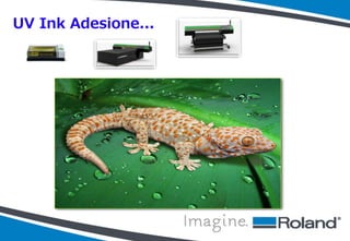 Materiali e primer per la stampa UV | PPT