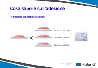 Materiali e primer per la stampa UV | PPT