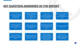 Peppermint Processing Plant Project Report.pptx