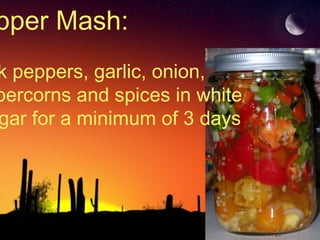 Pepper power point presentation | PPT