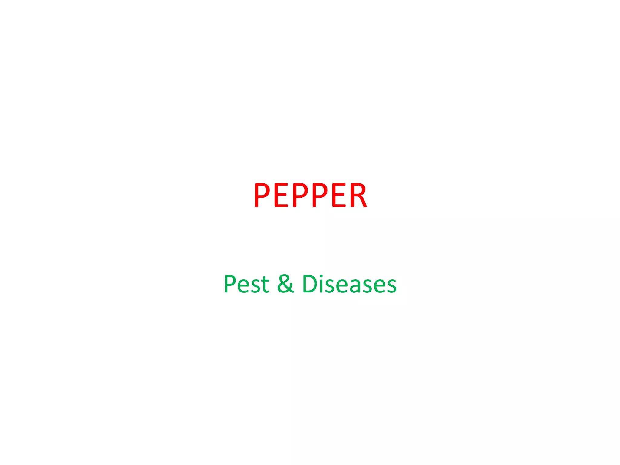 Pepper ppt | PPTX