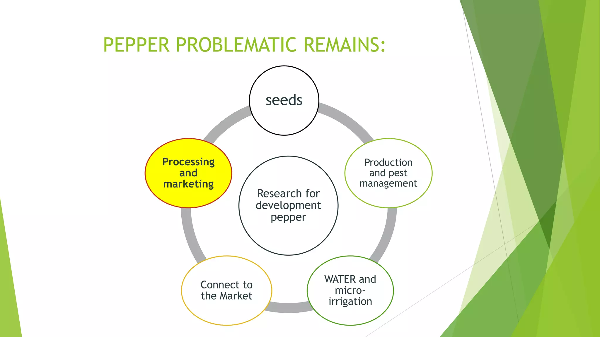 Pepper value chain development consortium (TOGO) | PPTX