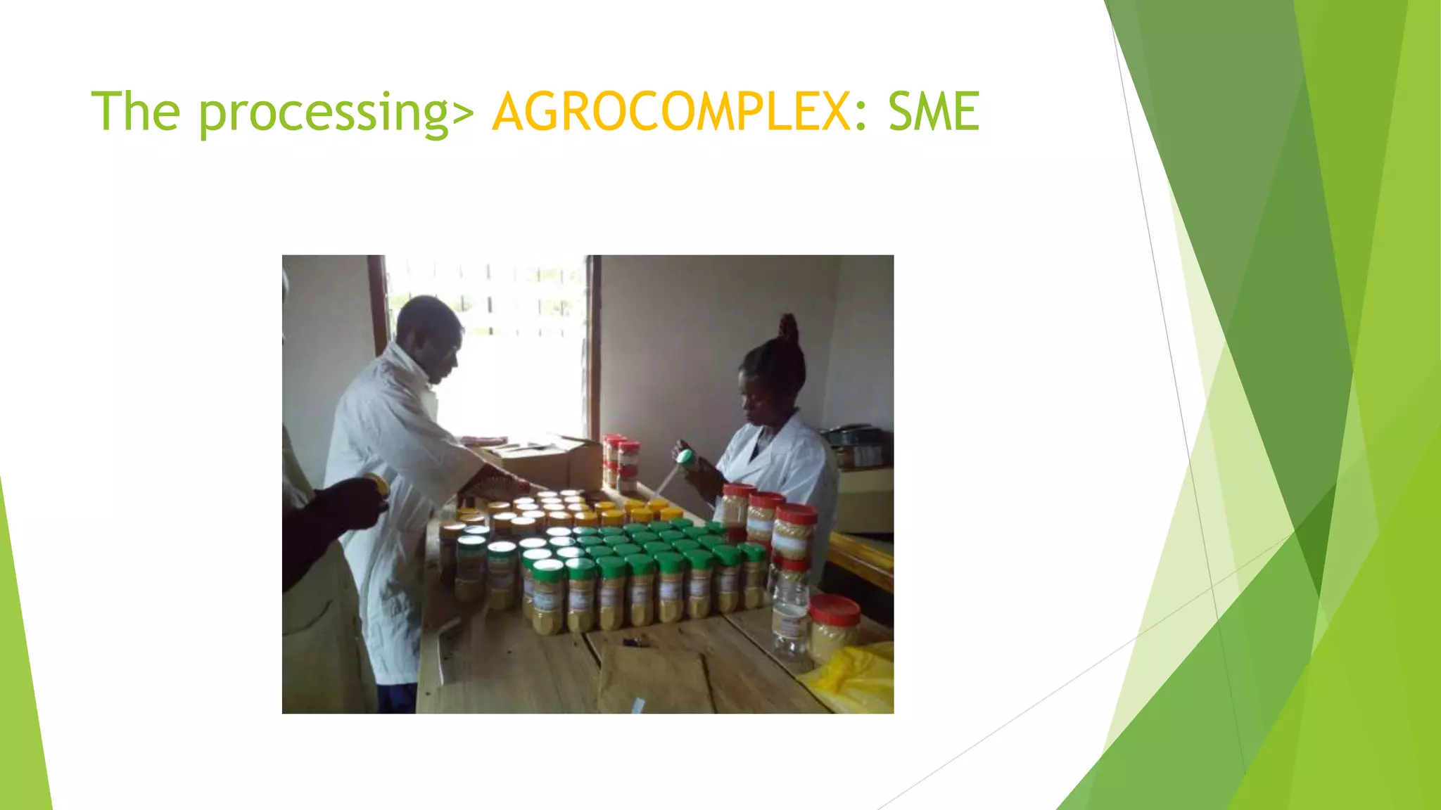 Pepper value chain development consortium (TOGO) | PPTX