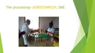 Pepper value chain development consortium (TOGO) | PPTX