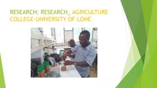 Pepper value chain development consortium (TOGO) | PPTX
