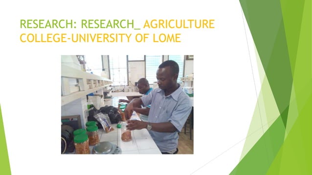 Pepper value chain development consortium (TOGO) | PPT