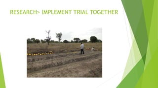 Pepper value chain development consortium (TOGO) | PPTX