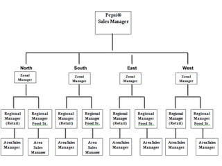 Pepsico Sales Structure | PDF