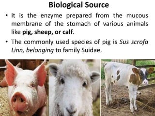 PEPSIN Enzyme - An enzyme for protein digestions | PPTX