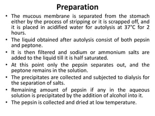 PEPSIN Enzyme - An enzyme for protein digestions | PPTX