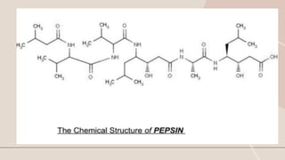 pepsin | PPTX