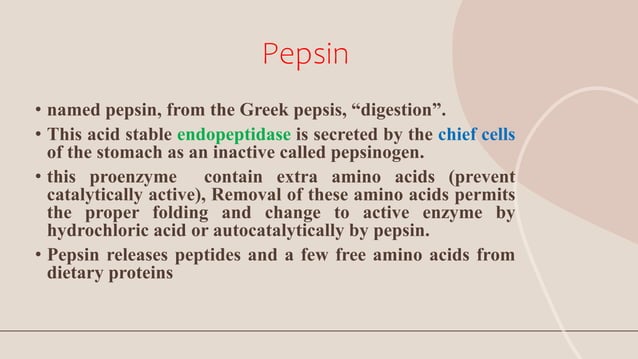 pepsin | PPTX | Digestive Disorders | Diseases and Conditions