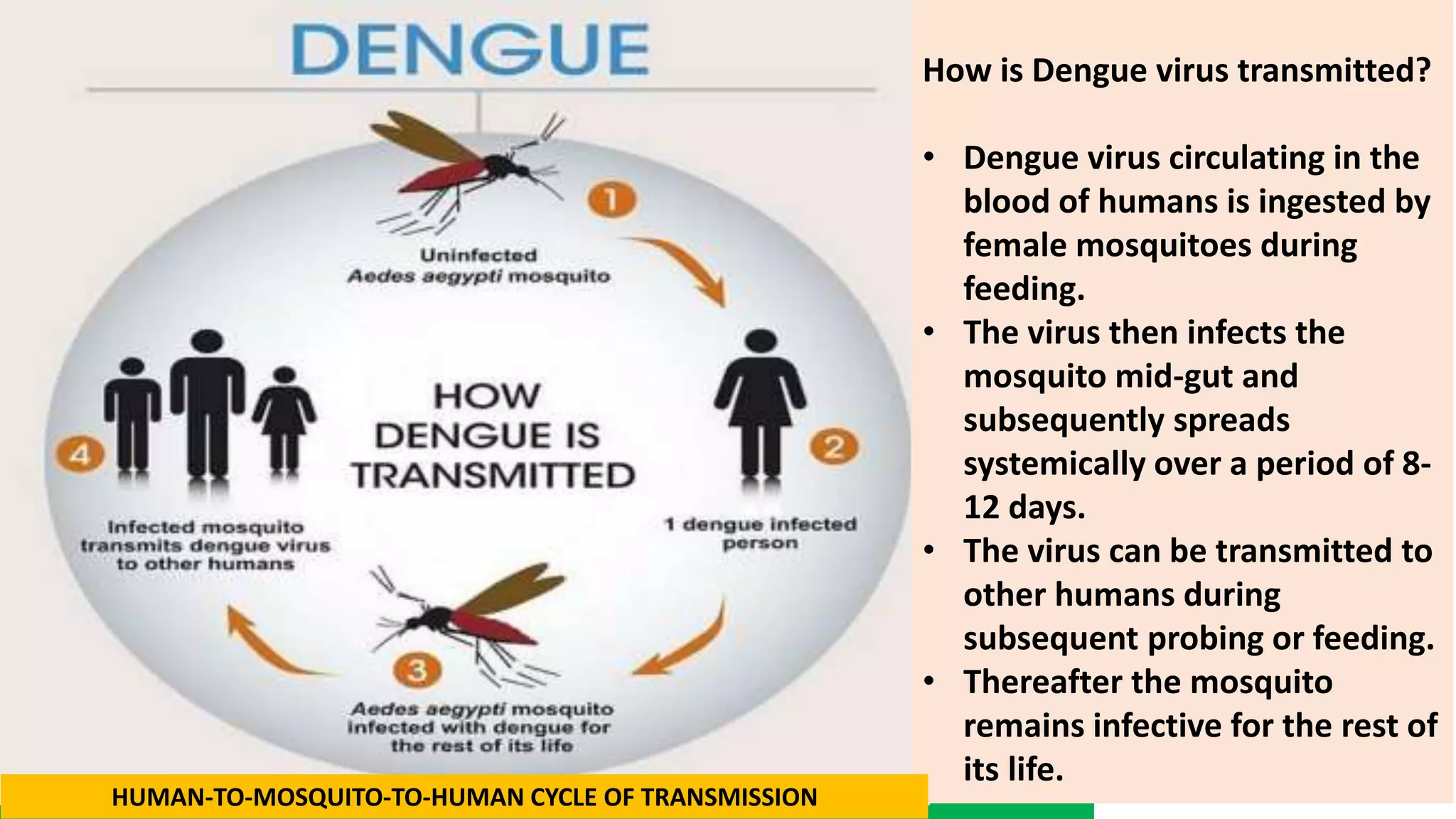 ROJoson PEP Talk: DENGUE AWARENESS | PPTX