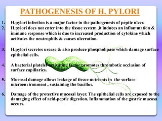 Peptic ulcer | PPT