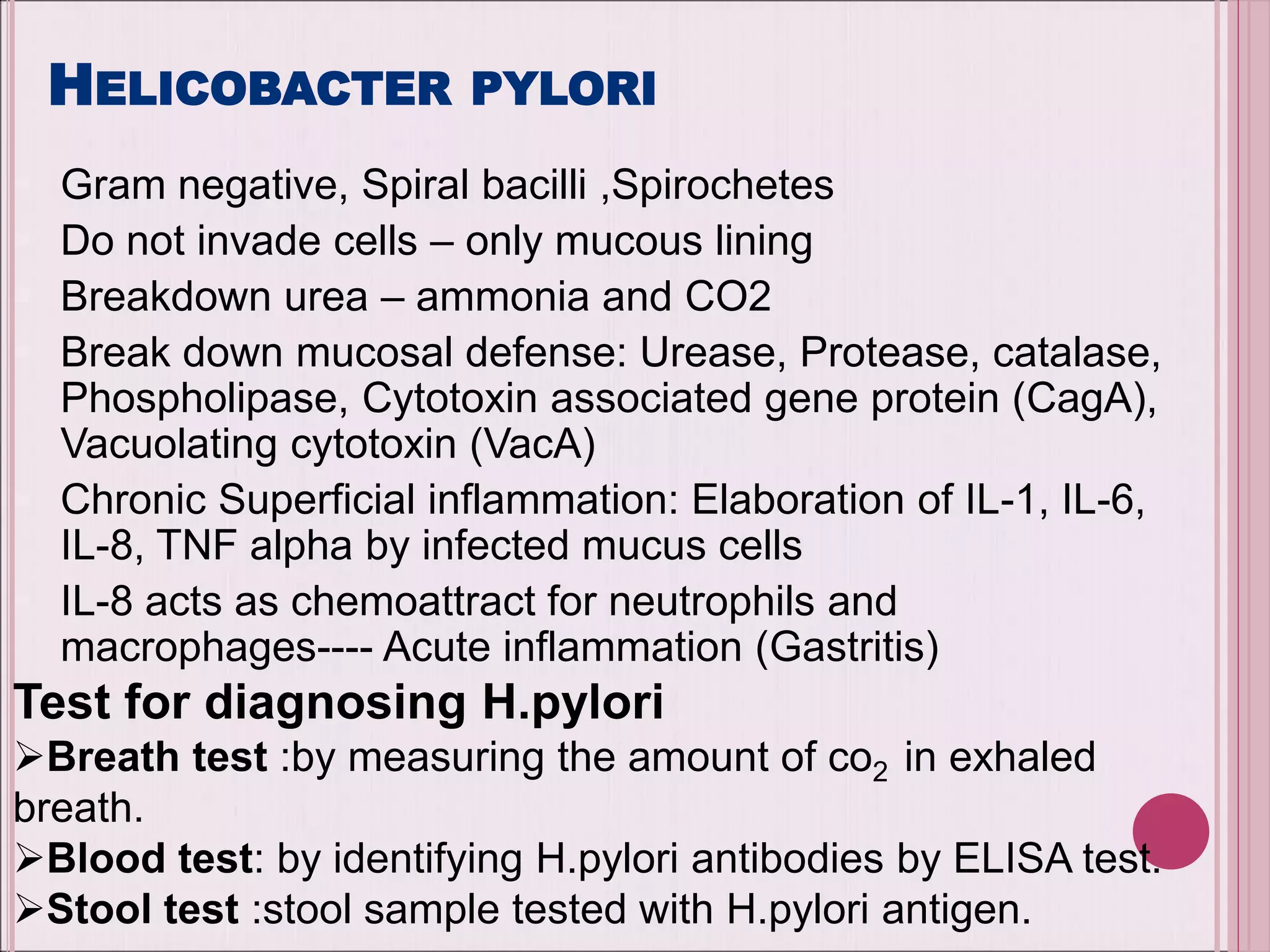 pathophysiology of peptic ulcers | PPT