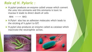 Peptic ulcer | PPT