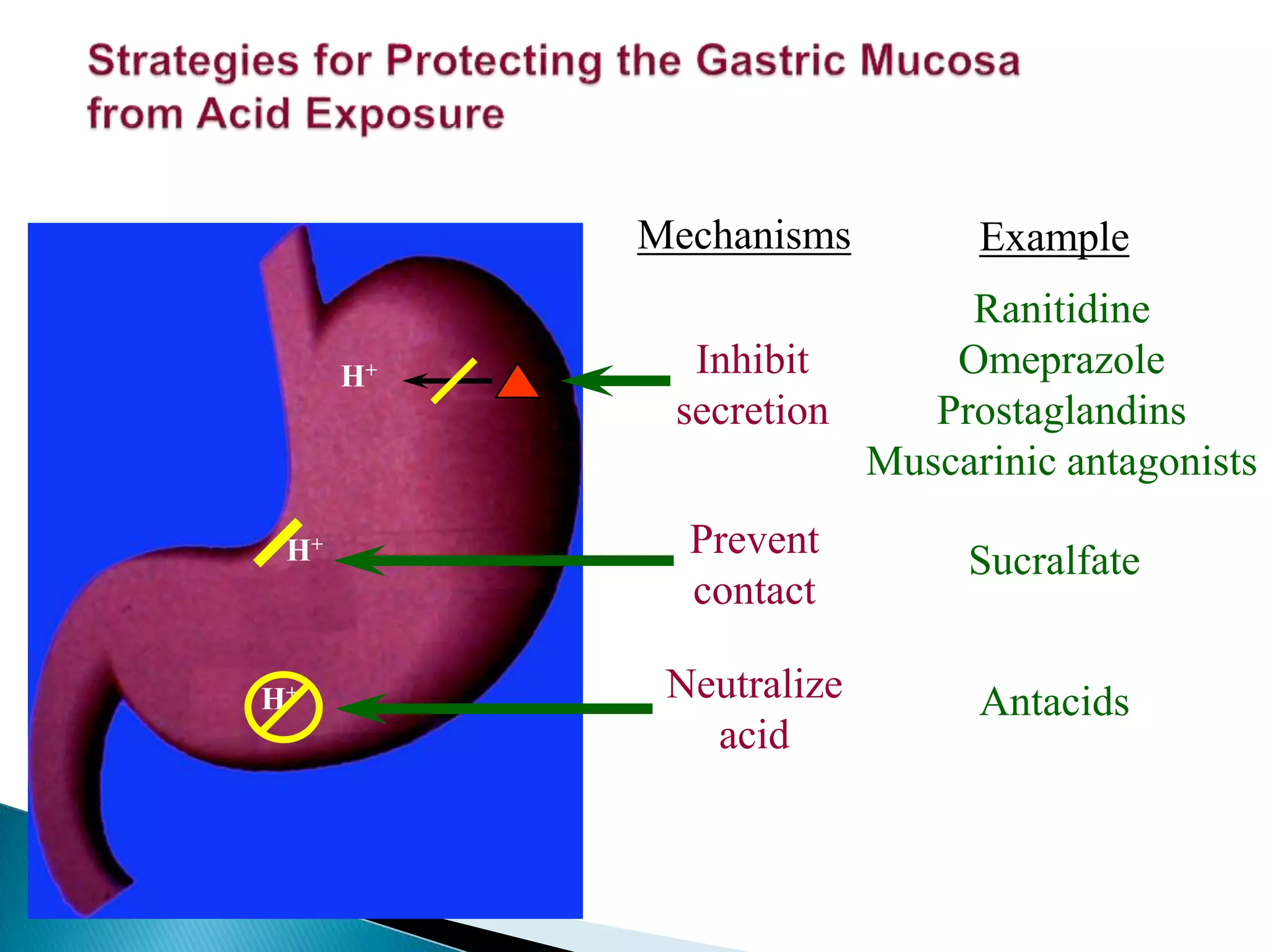 Pharmacotherapy of peptic ulcer | PPTX