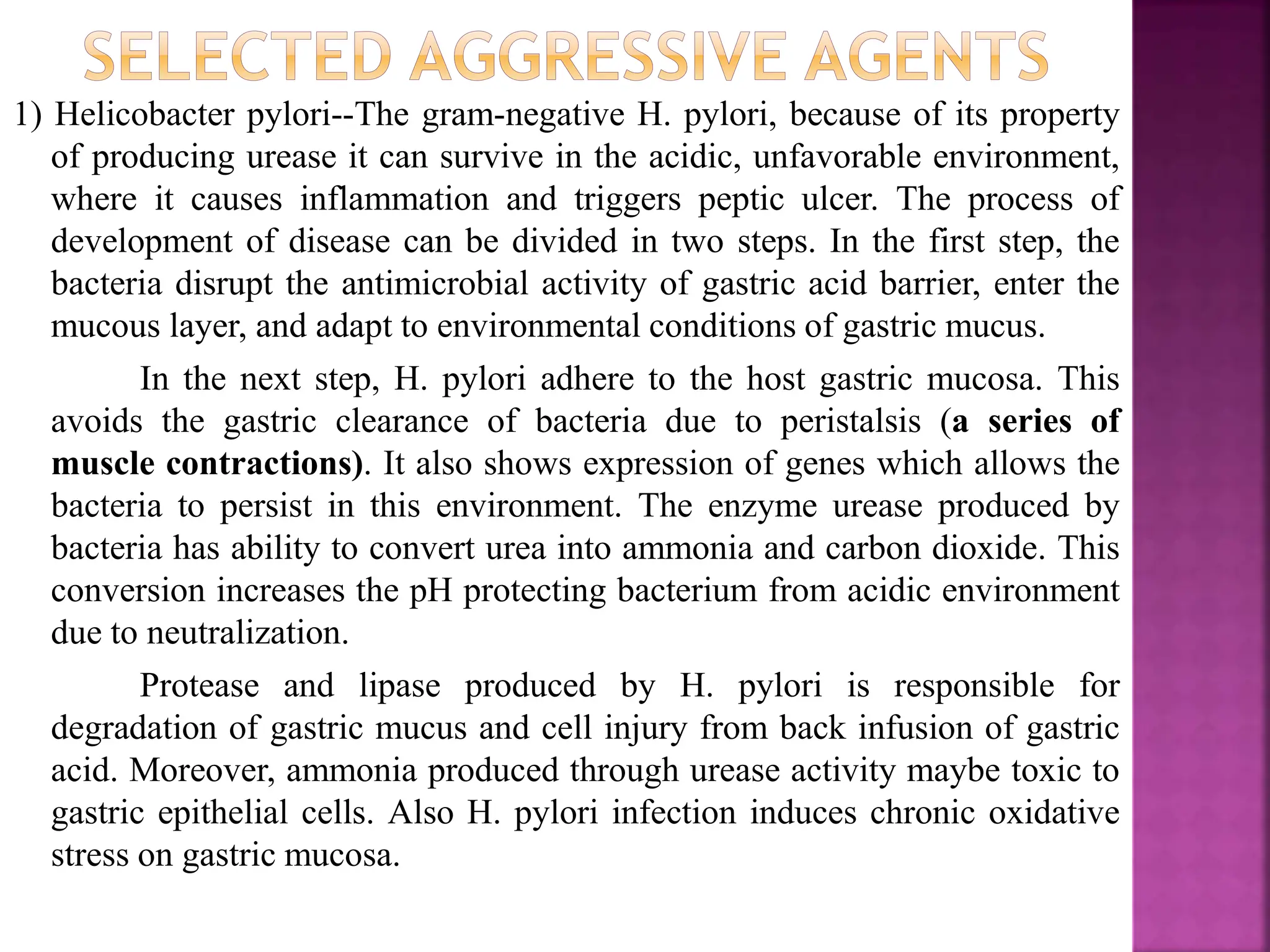 PEPTIC ULCER PATHOPHYSIOLOGY B.PHARM 2ND SEM.pptx