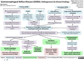 Peptic ulcer and gerd | PPTX | Digestive Disorders | Diseases and ...