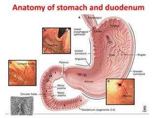 Peptic ulcer disease Mallappa Shalavadi,, | PPTX