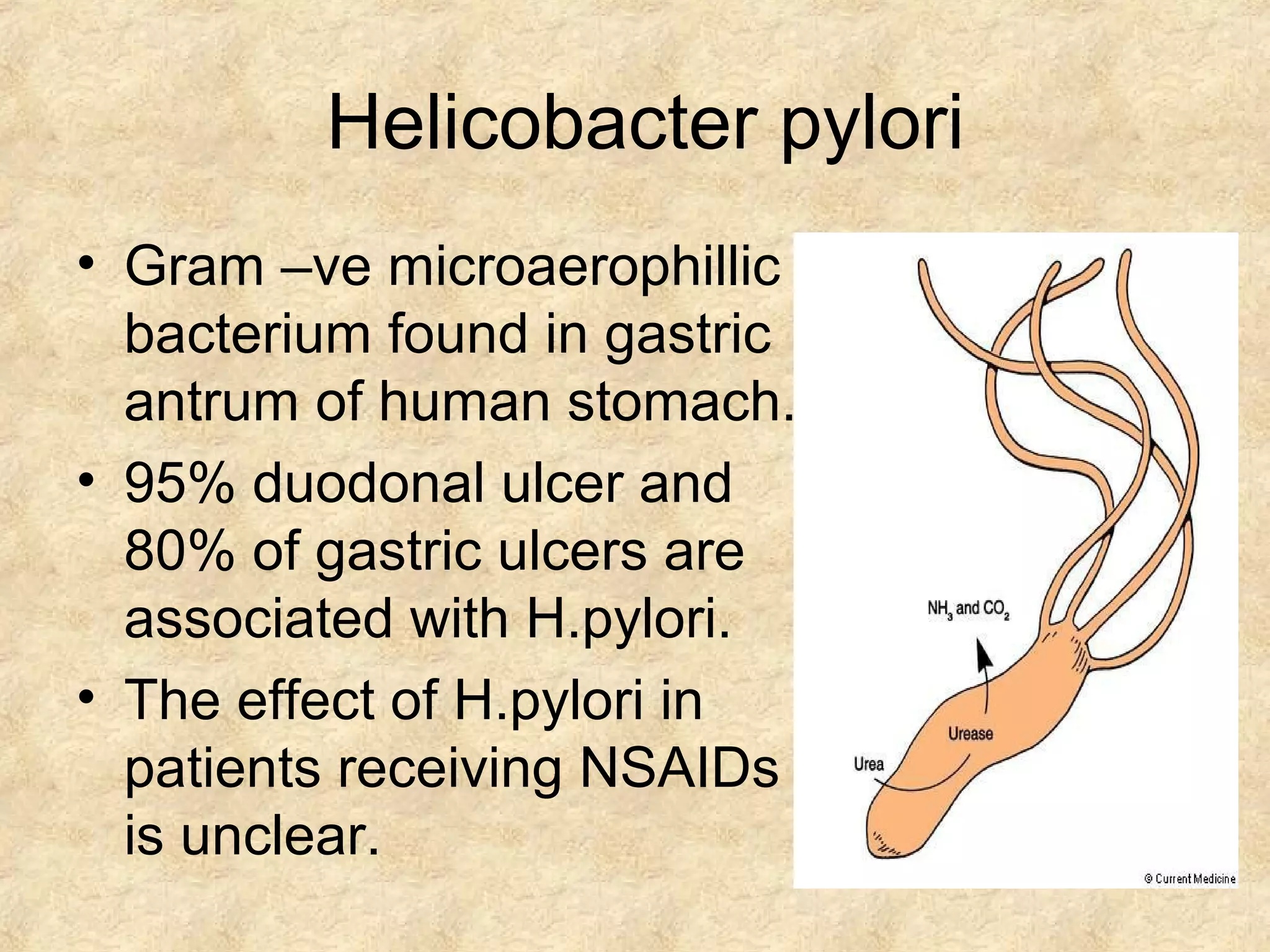 Peptic ulcer disease causes and treatment | PPT