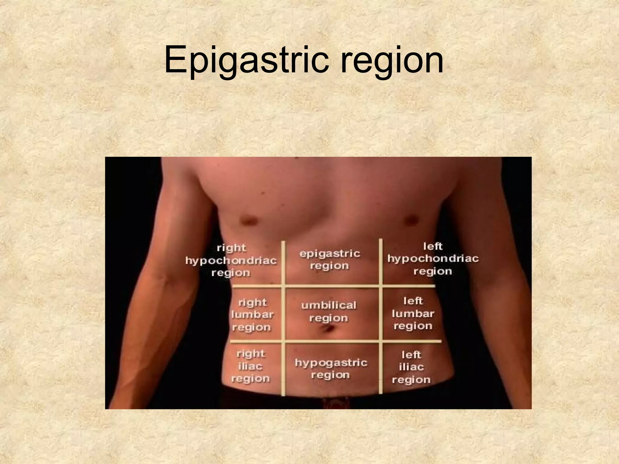 Peptic ulcer disease causes and treatment | PPT