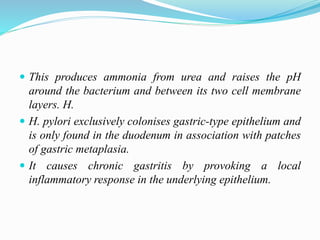 Peptic ulcer disease | PPTX | Digestive Disorders | Diseases and Conditions