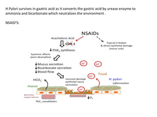 Peptic ulcer disease | PPT