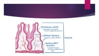 Peptic ulcer disease (PUD) | PDF