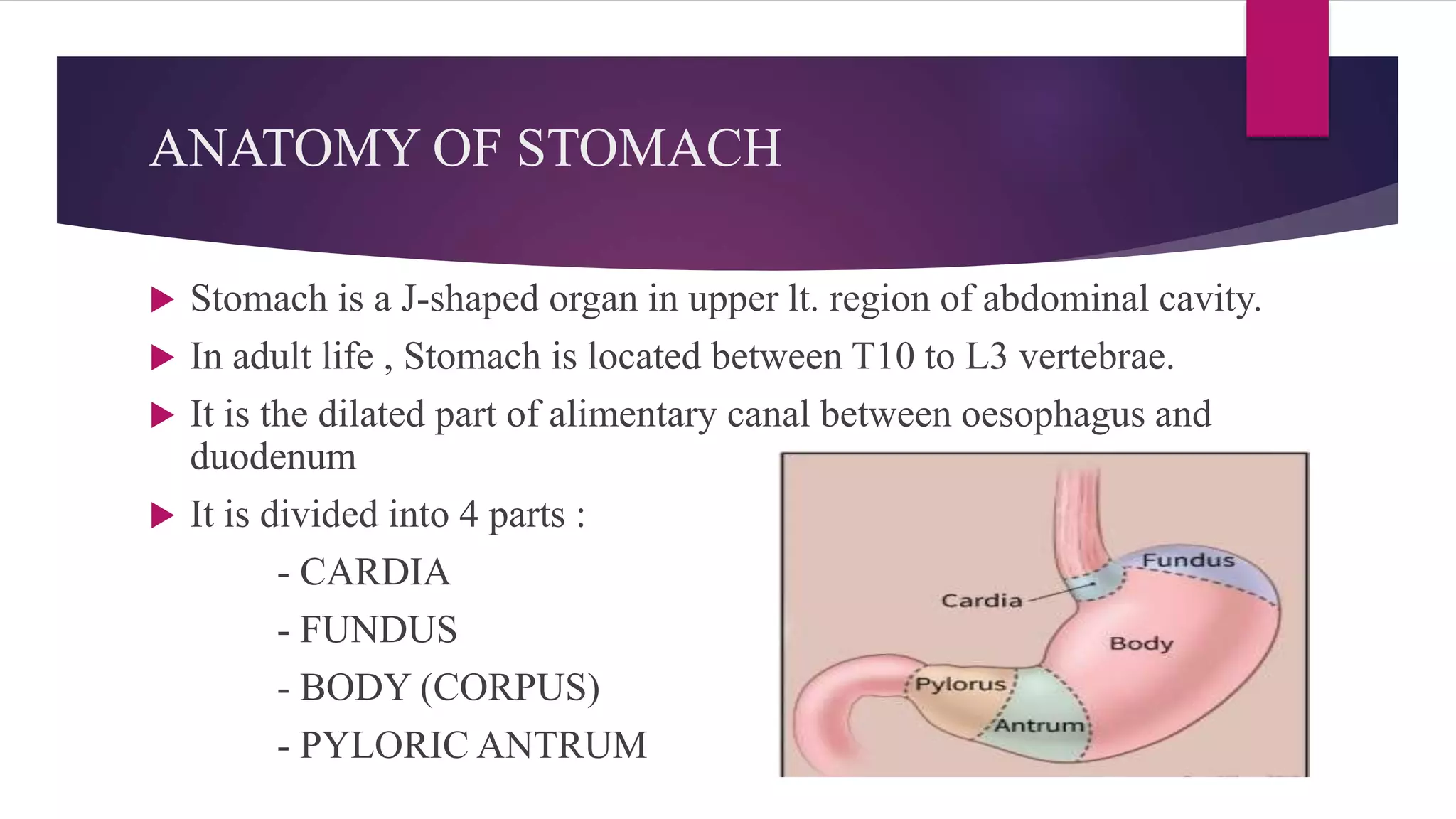 Peptic ulcer disease | PPTX